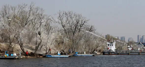 [Photo] Spring cleaning along the Han River