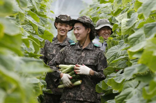 South and North follow through with measures to bring down military ...