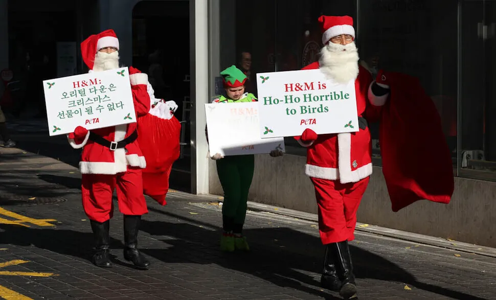 [Photo] Say no to cruelly produced down coats this holiday season