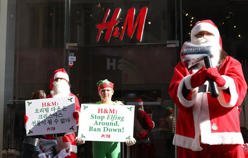 [Photo] Say no to cruelly produced down coats this holiday season